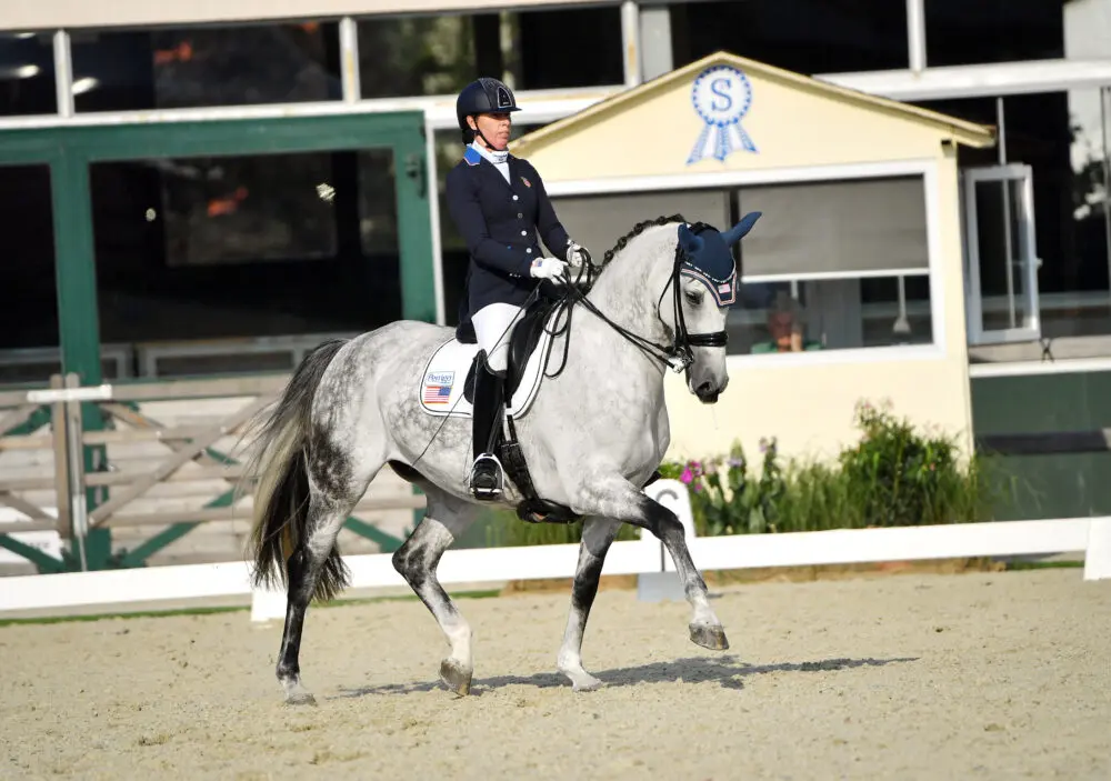 Personal Bests Highlights in the CPEDI Hagen Freestyle Tests - HorsesDaily