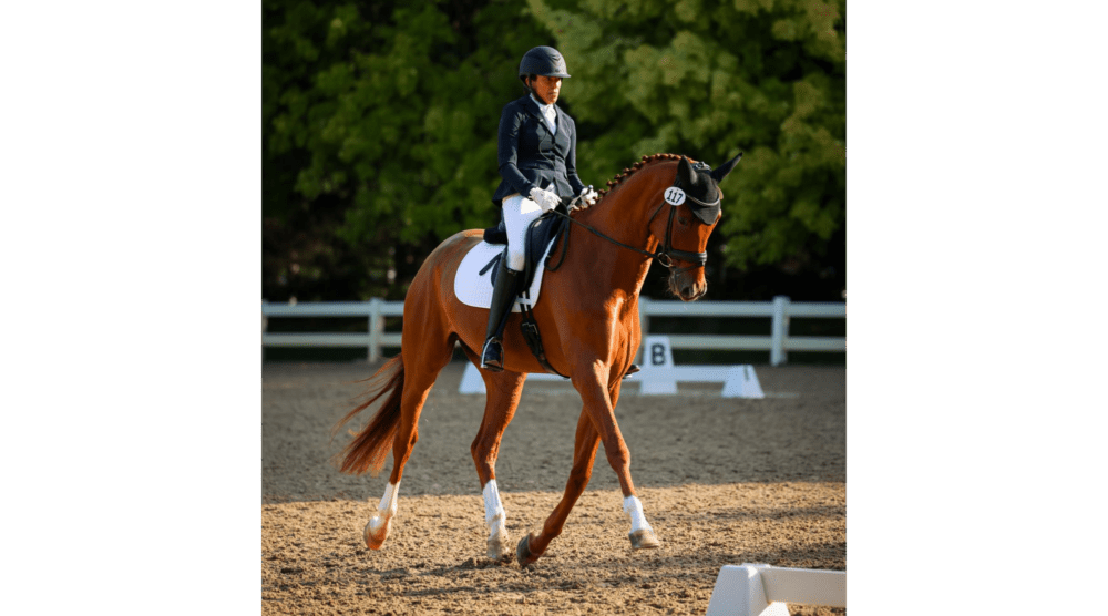 Markel/USEF Young Horse Dressage National Championship Preliminary Test ...