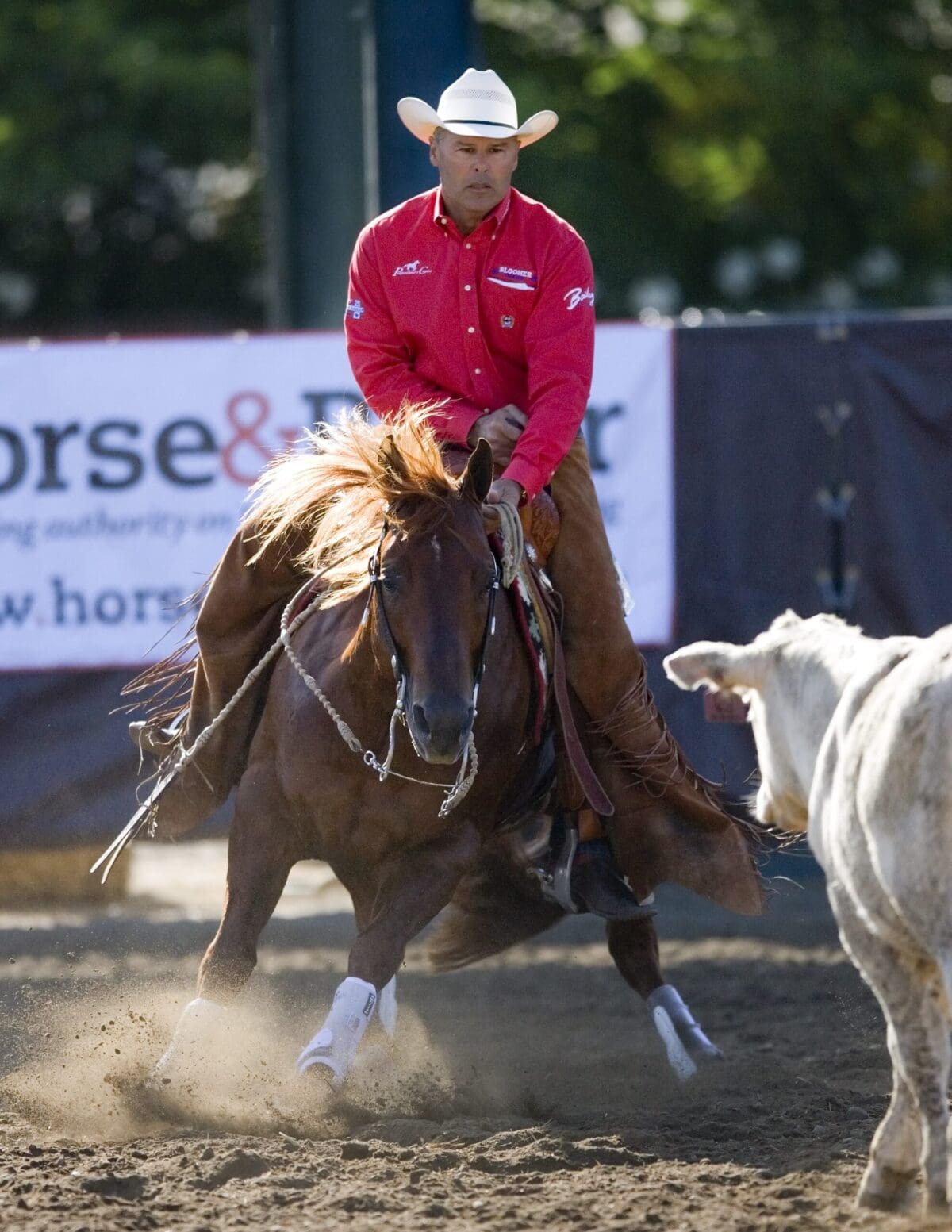 In Memoriam - Bob Avila - HorsesDaily