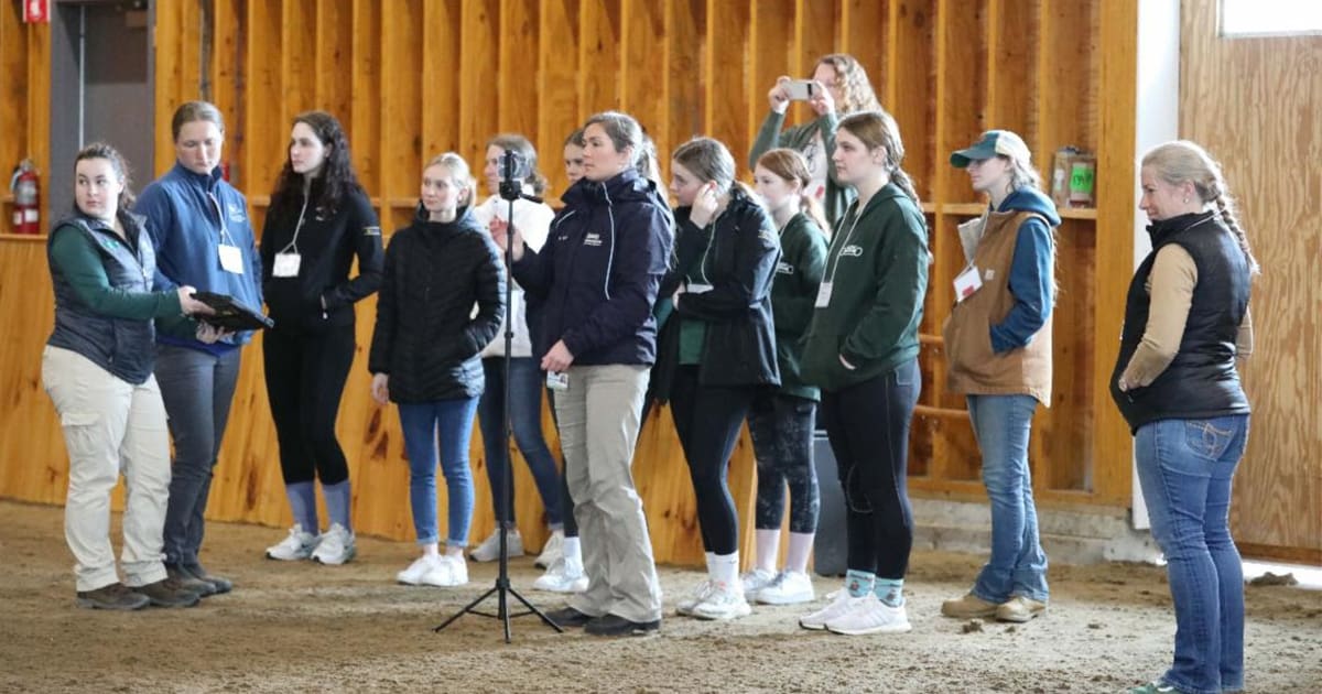 Free Virtual Equine Educational Series 2025 Expands the Vision of D4K ...