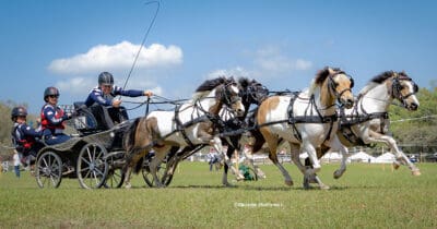 Live Oak International FEI Combined Driving Event 2025 - Results ...