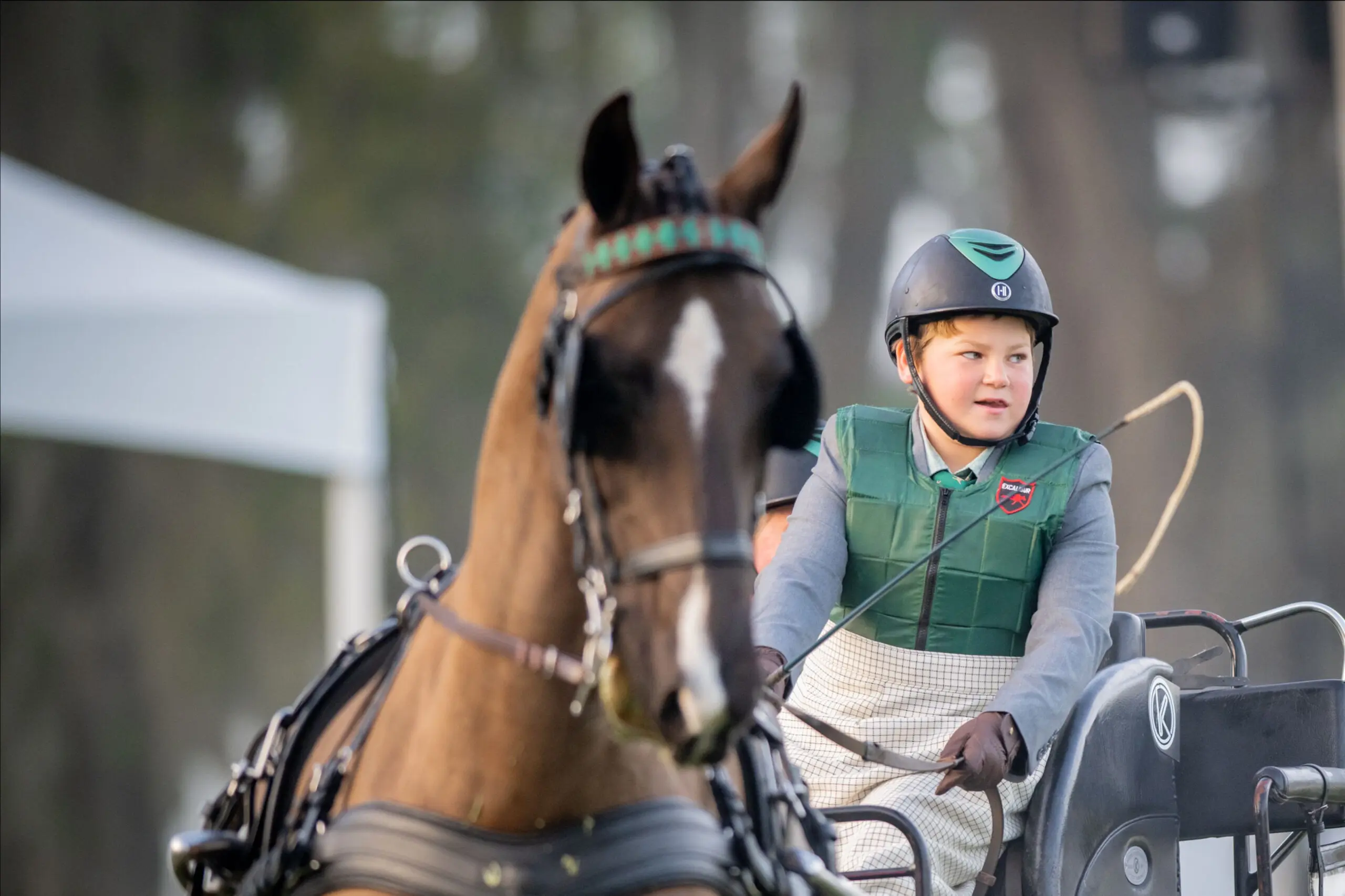Youth Driving Dressage Results At Live Oak International 2025, Ocala ...
