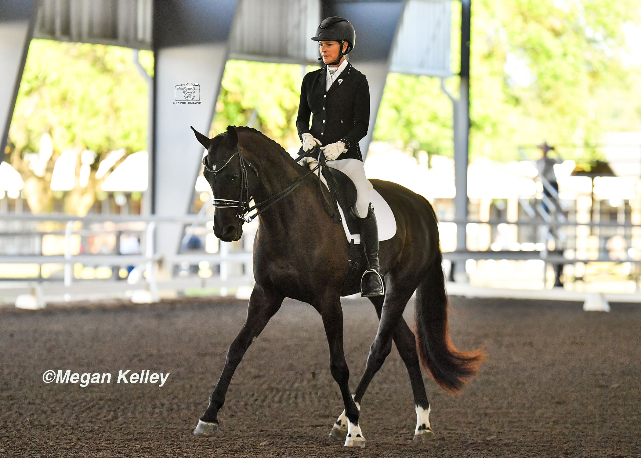 Results, Entries, Photos 2025 Southeast Horse Shows, Dressage ...