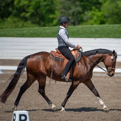 STRIDE Dressage and Driving Ocala Schooling Show Series 2025/2026 - HorsesDaily