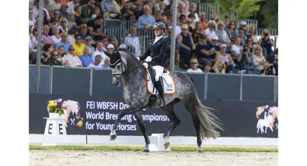 FEI World Championship Young Dressage Horses - Ermelo 2024 Highlights ...
