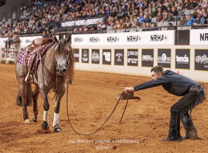 Gabriel Borges Surpasses $1 Million in NRHA Lifetime Earnings - HorsesDaily