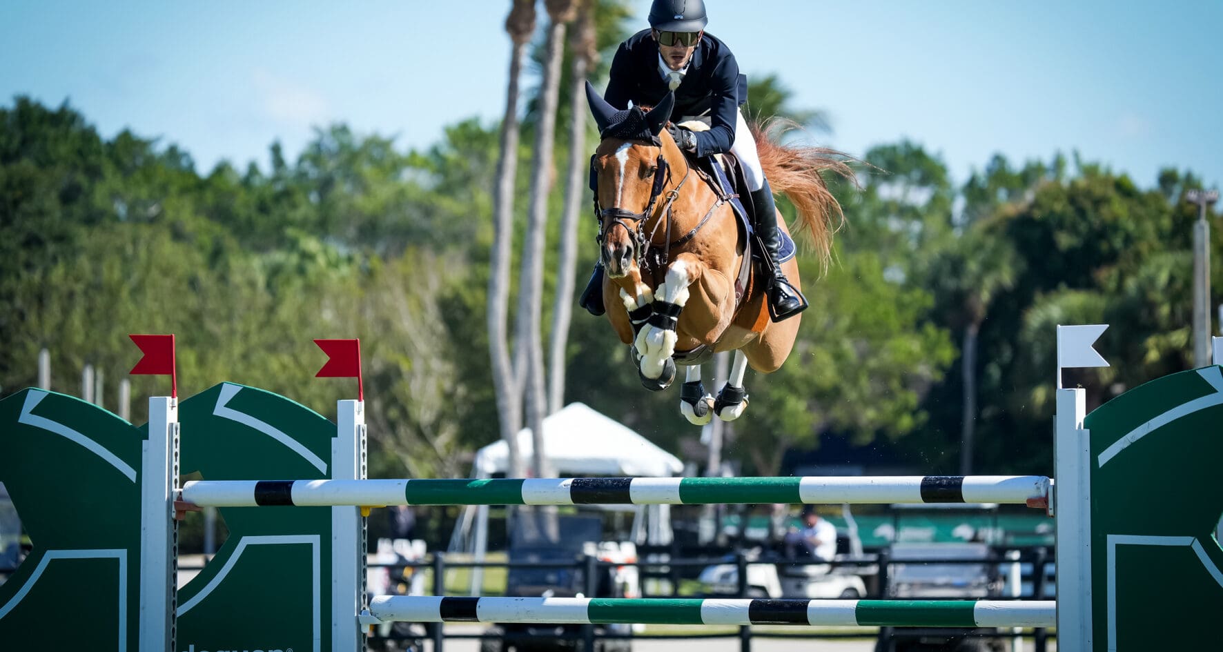 Mark Bluman And Landon Off And Winning HUGE At WEF - HorsesDaily