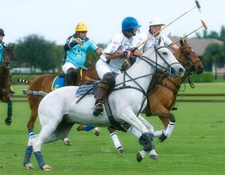 Legends Of Polo Games To Be Televised On Sunday - HorsesDaily