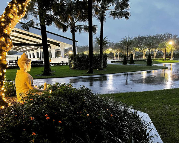 It’s Good To Be King - Zen Elite Equestrian Center’s King’s Pleasure ...